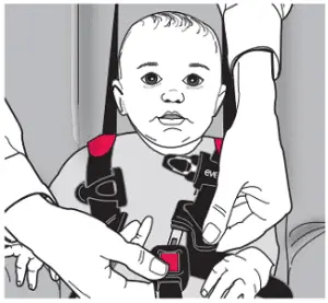How To Install Evenflo Car Seat + Manual Instructions