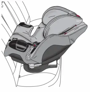 How To Install Evenflo Car Seat + Manual Instructions