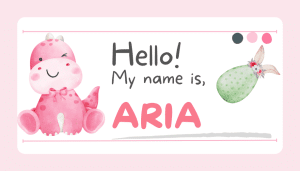 Aria Name Meaning: Hebrew, Biblical, Spiritual & More